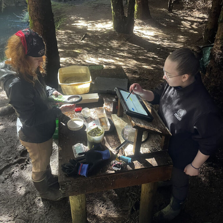PIT Tag Scan Survey123 - No Typing: Best Data Integrity with ...